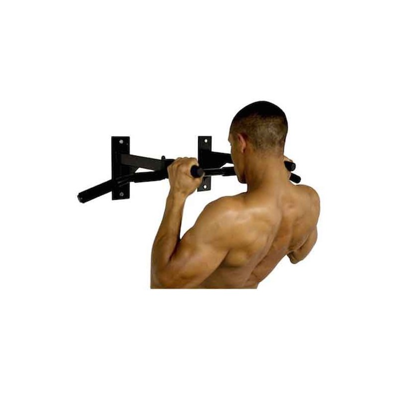 Wall Mounted Chin up Bar
