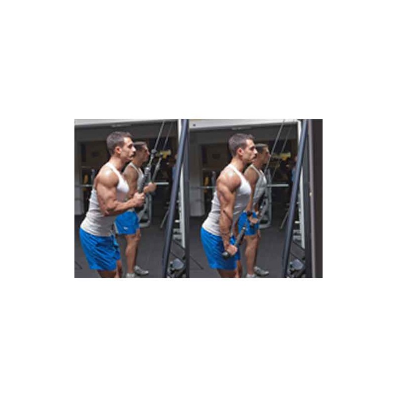Exercise Triceps Rope Double Head