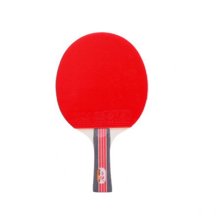 Table Tennis Bat