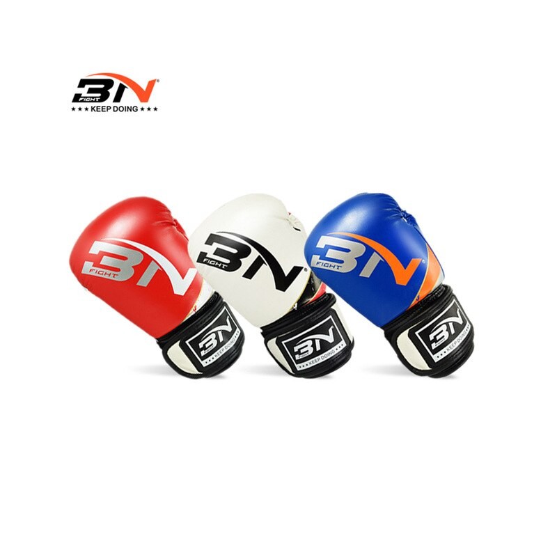 BN Boxing gloves 10oz, 12oz