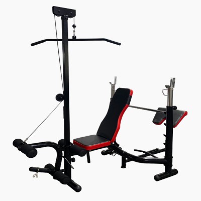 Weight bench with Lat pull down and Preacher curl