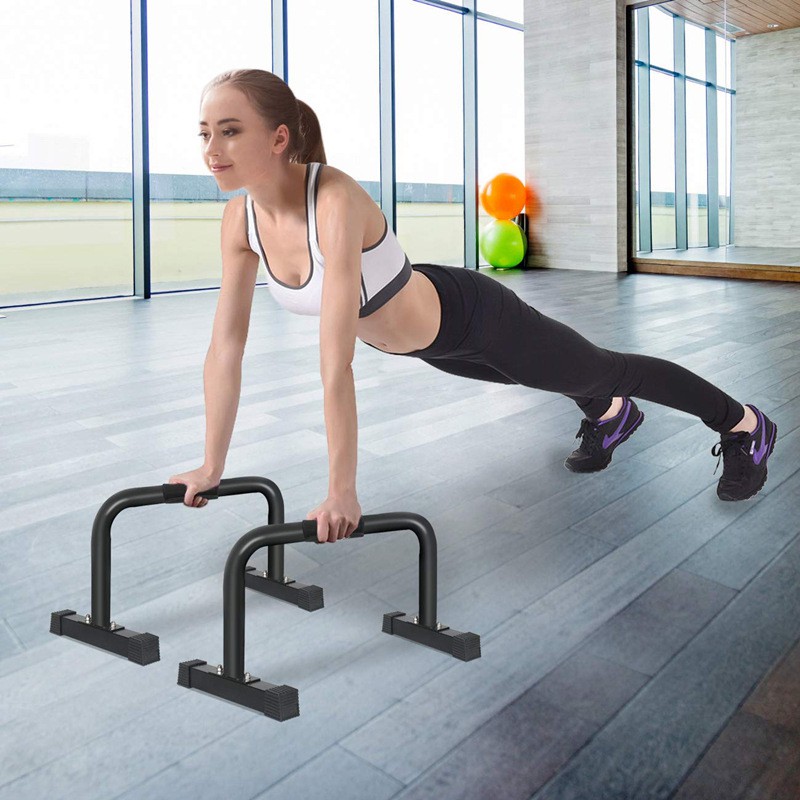 Heavy Duty Push Up and Dip Bar
